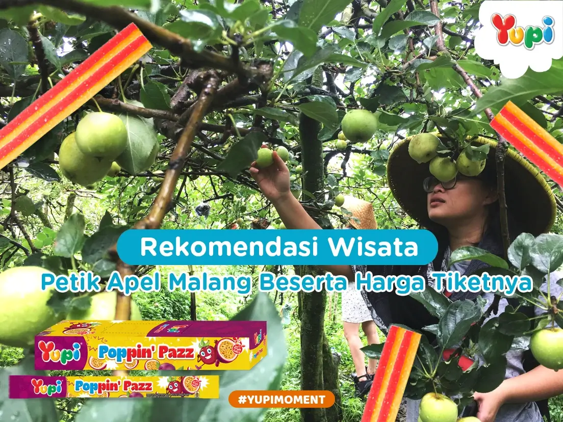 Rekomendasi Wisata Petik Apel Malang Beserta Harga Tiketnya